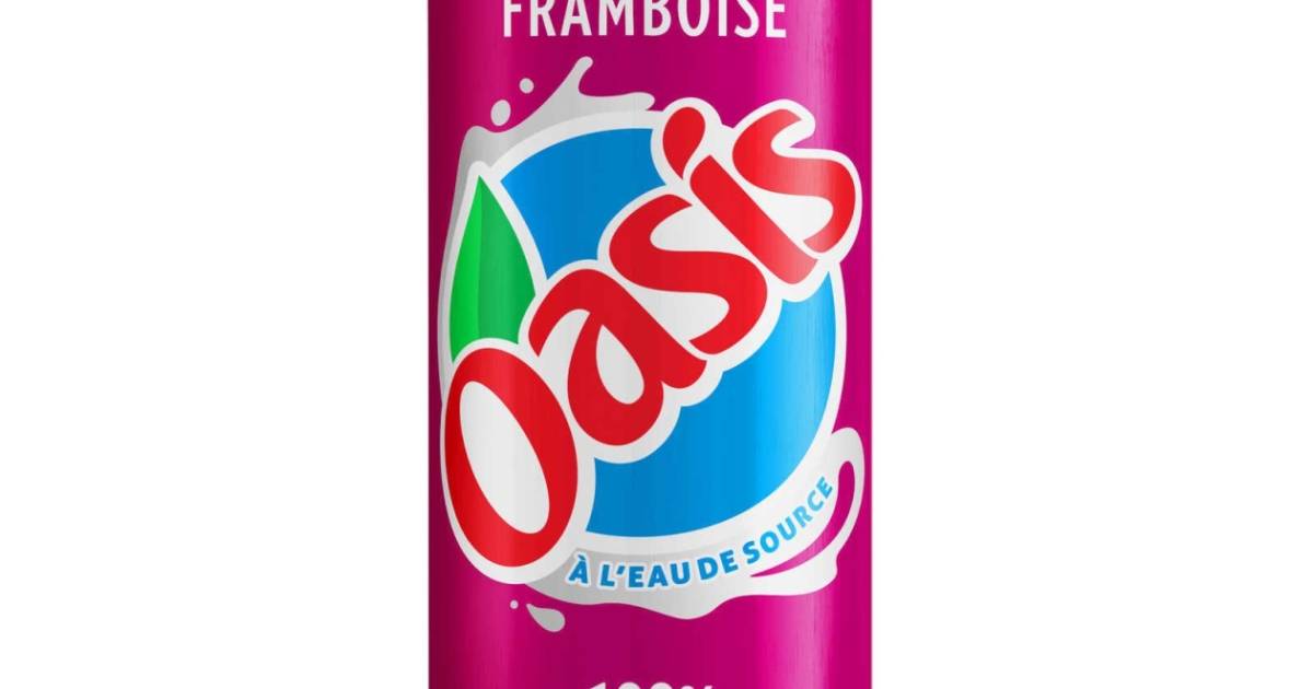 Oasis Pomme Cassis Canette 33cl Slim Boissons
